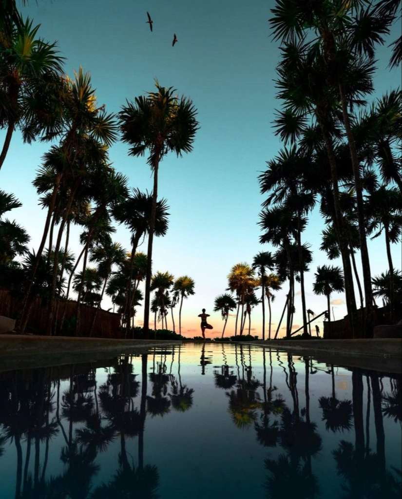 Papaya Playa Project – WM Magazine